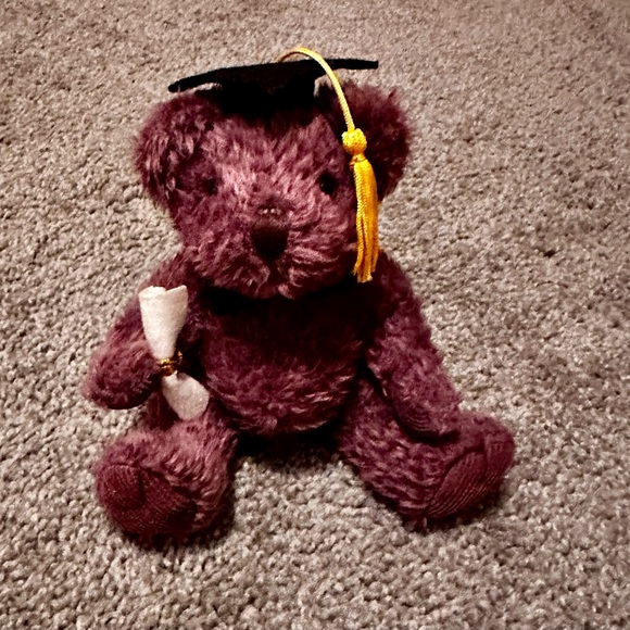 Toys | Plum Graduation Teddy Bear | Poshmark